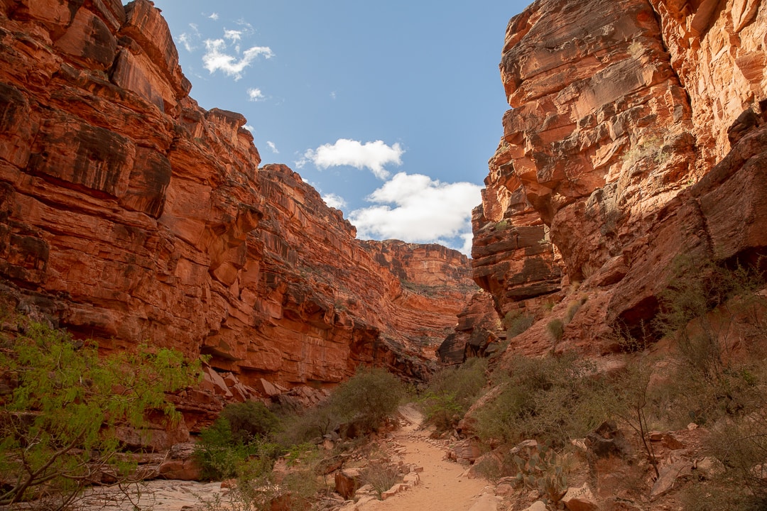 Arizona's Oasis: Enjoy these Stunning photos of Havasupai
