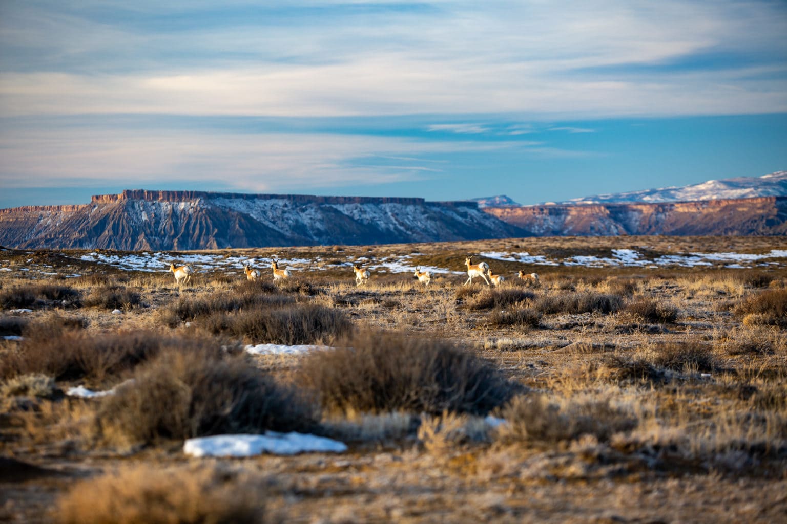 The Best Places To See When You Visit Hanksville, Utah