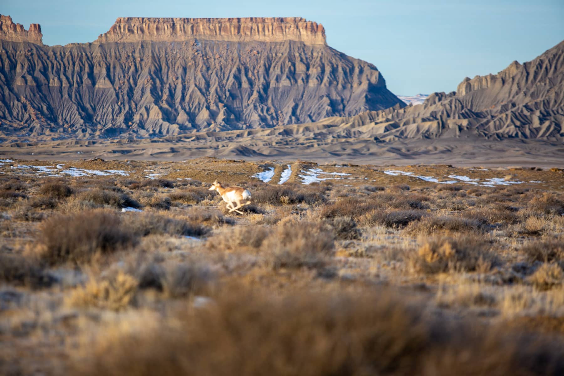 The Best Places To See When You Visit Hanksville, Utah