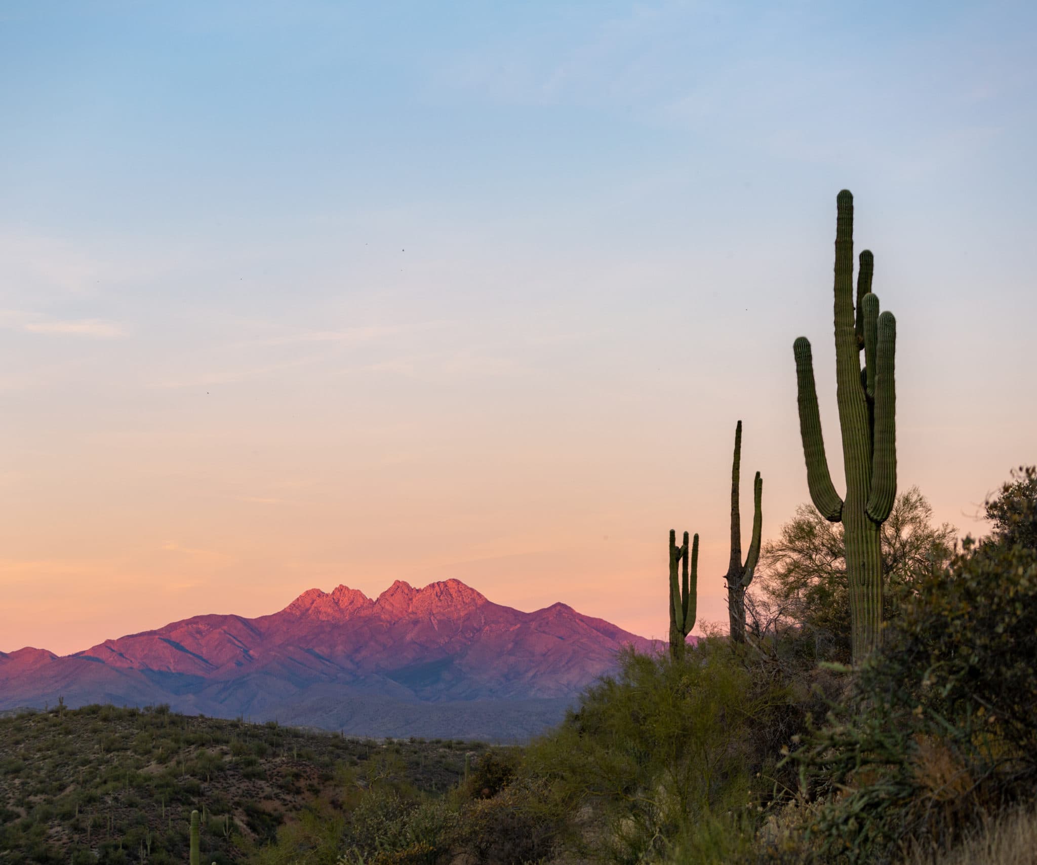 The 7 Best Things To Do in Mesa for an Adventure Lover