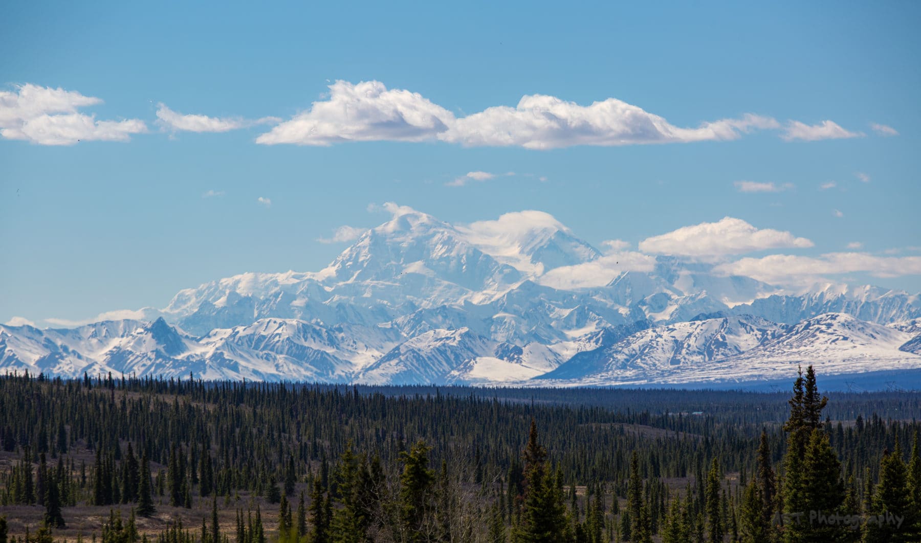 A Guide to Driving the Denali Highway In Alaska From Cantwell to Paxson