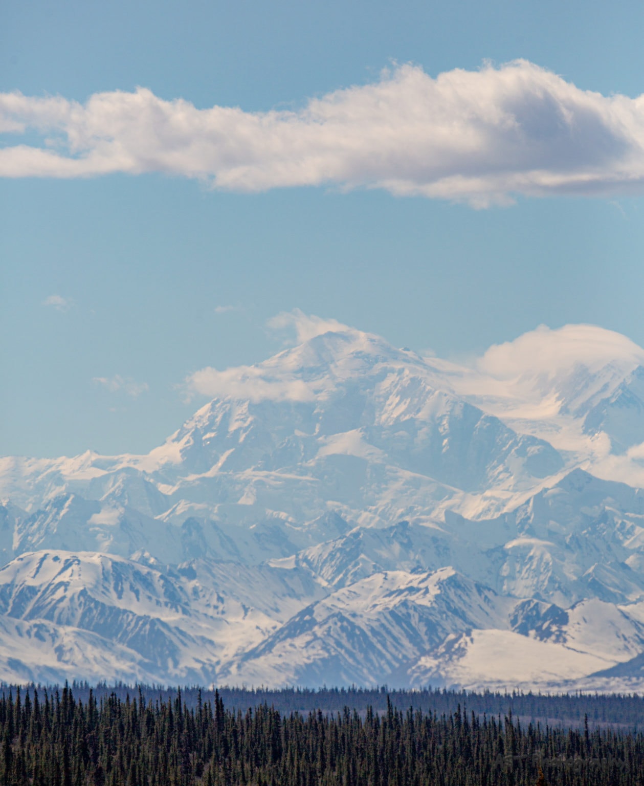 A Guide to Driving the Denali Highway In Alaska From Cantwell to Paxson