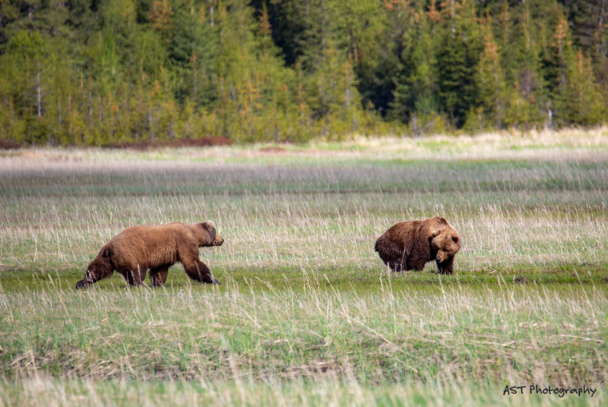 The Ultimate Guide to Visiting Alaska in August - Explore with Alec