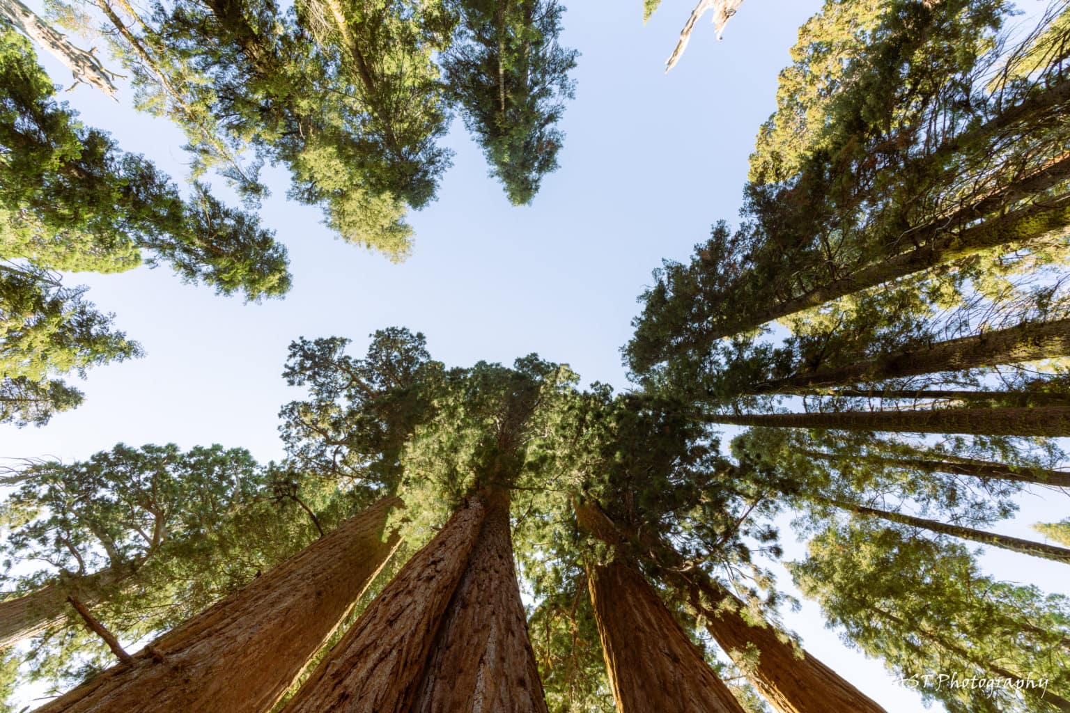 Sequoia National Park Visitor Guide: Everything you need to know