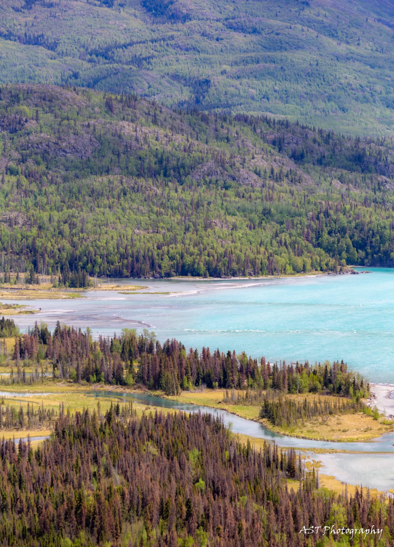 Four exciting things to do in Cooper Landing, Alaska