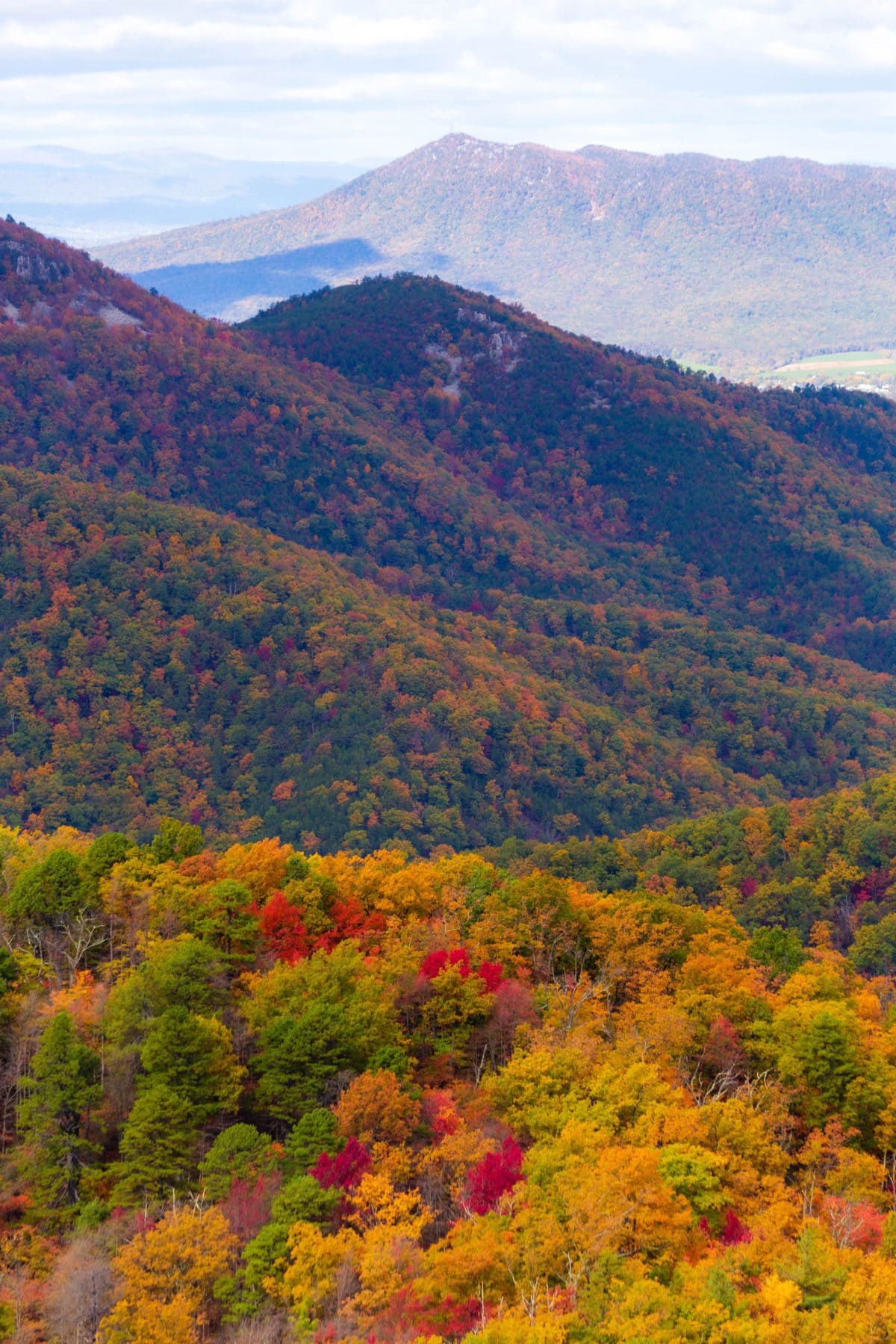 Skyline Drive Fall Foliage in Shenandoah National Park