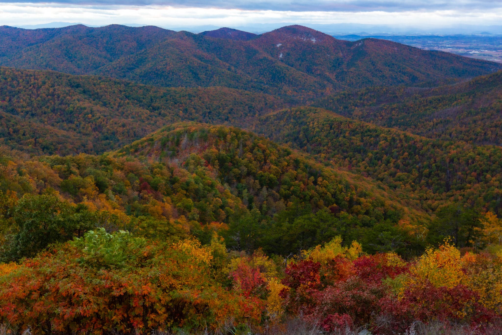Skyline Drive Fall Foliage in Shenandoah National Park