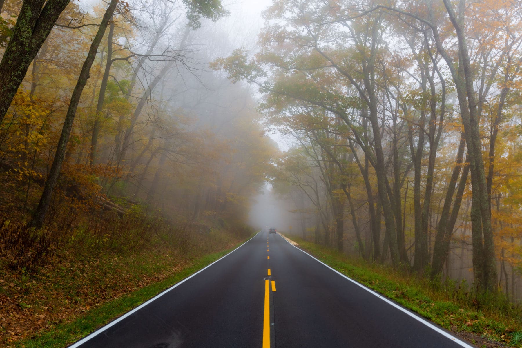 Skyline Drive Fall Foliage in Shenandoah National Park