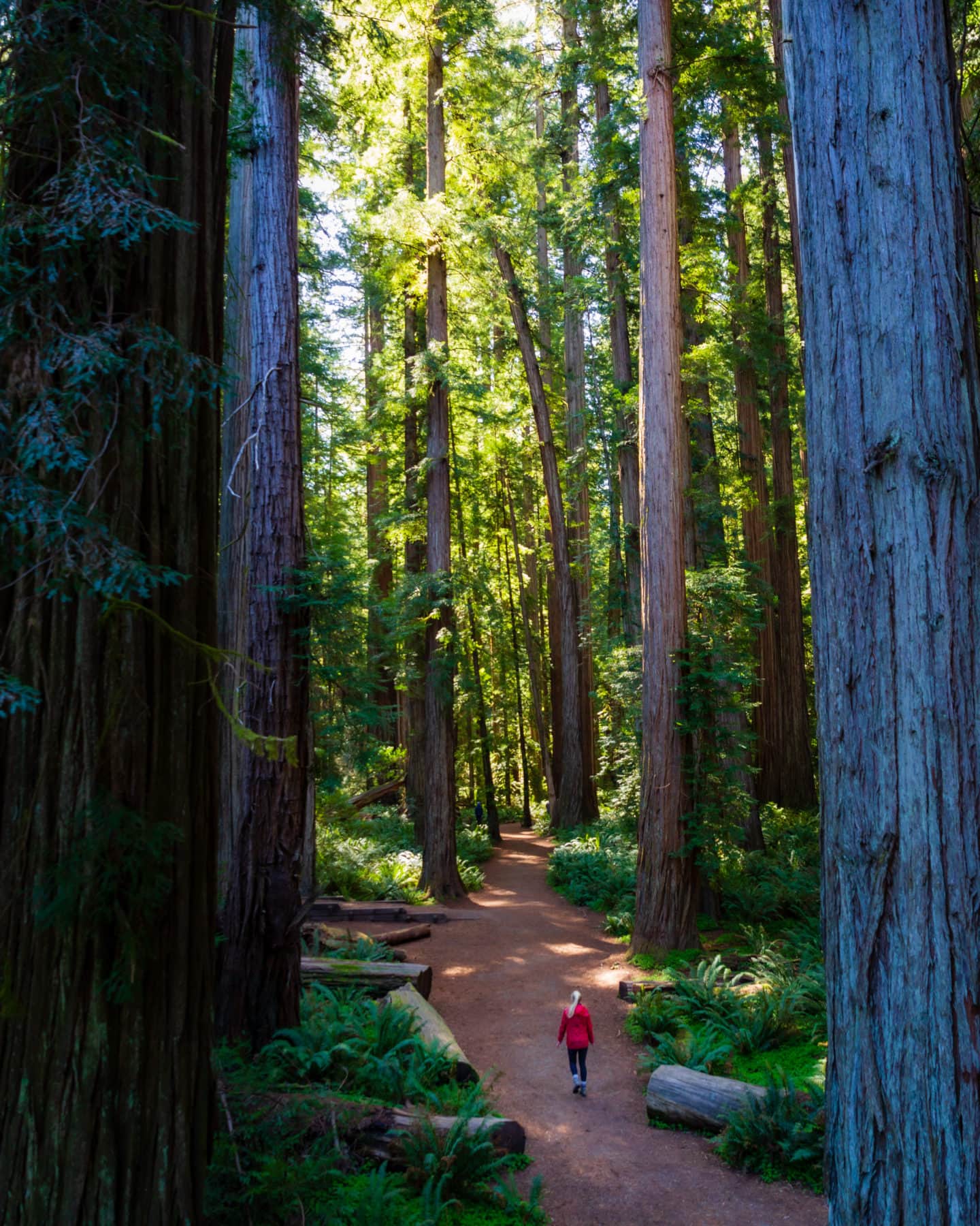 The ultimate 2026 guide to the best hikes in California
