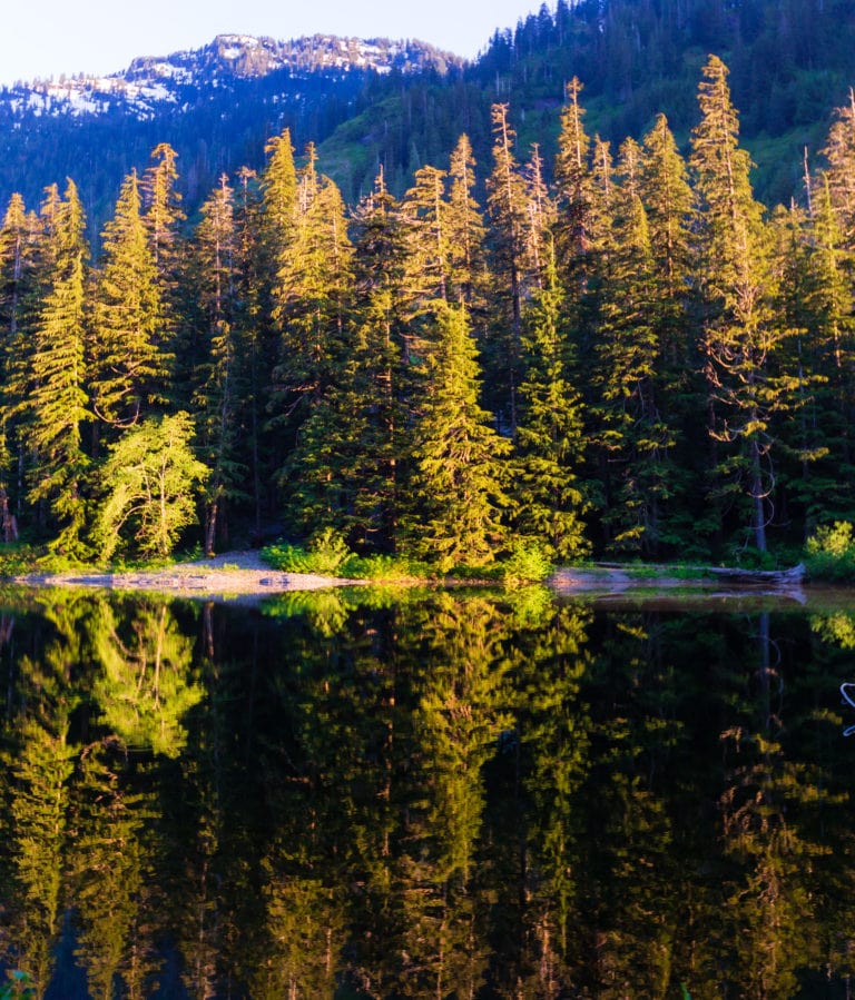 A beautiful day hiking the Barclay Lake Trail