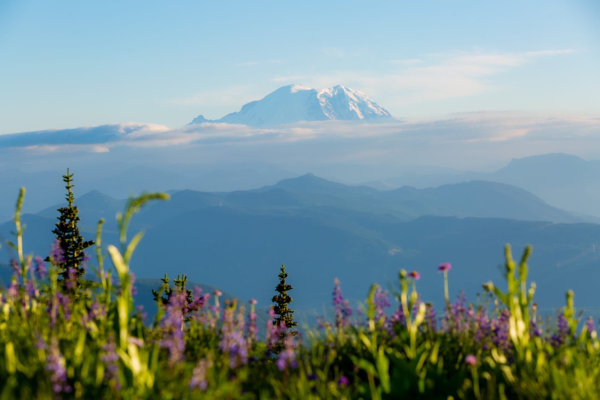 A guide to the beautiful Thorp Mountain Lookout hike