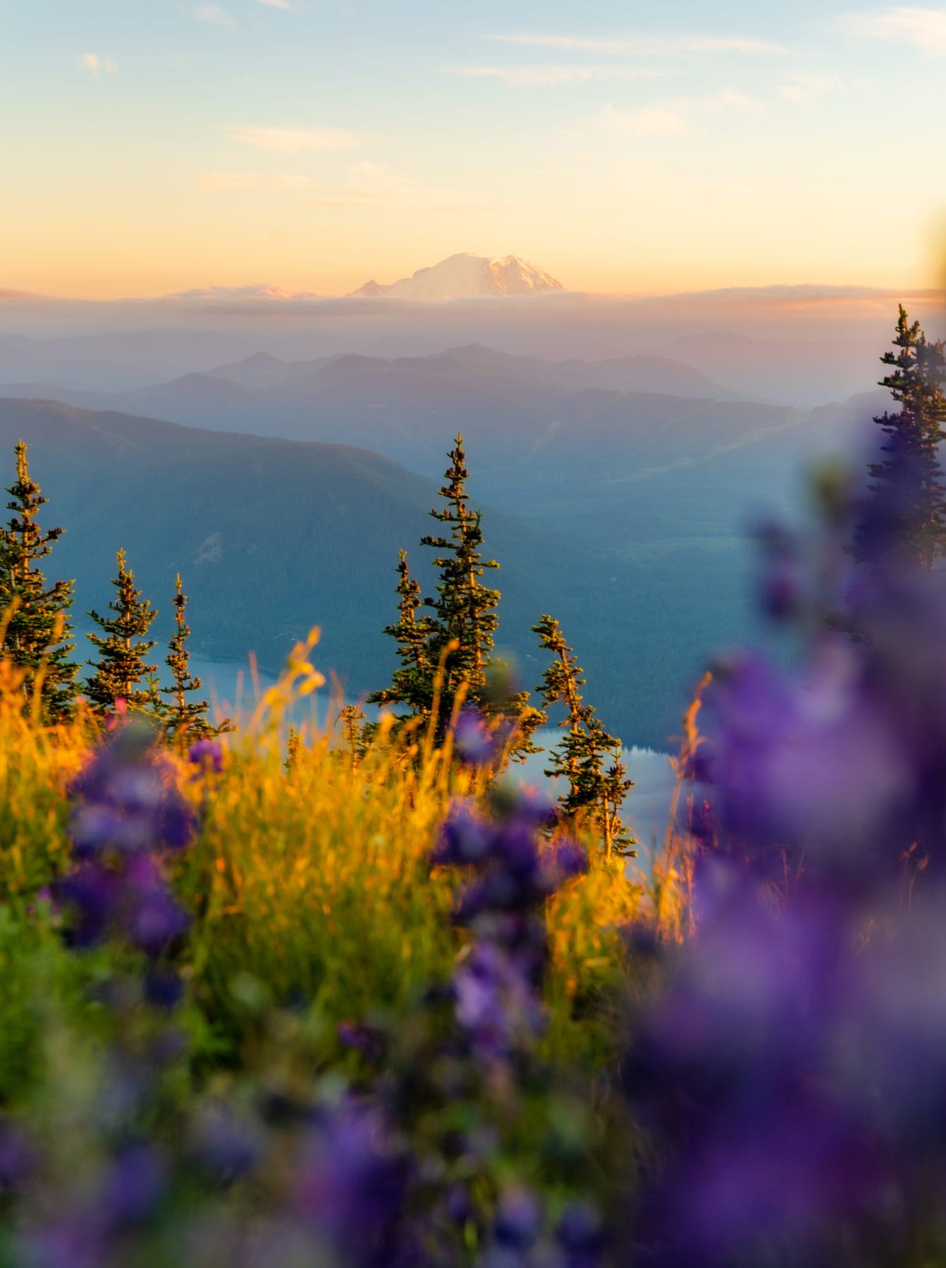 A guide to the beautiful Thorp Mountain Lookout hike