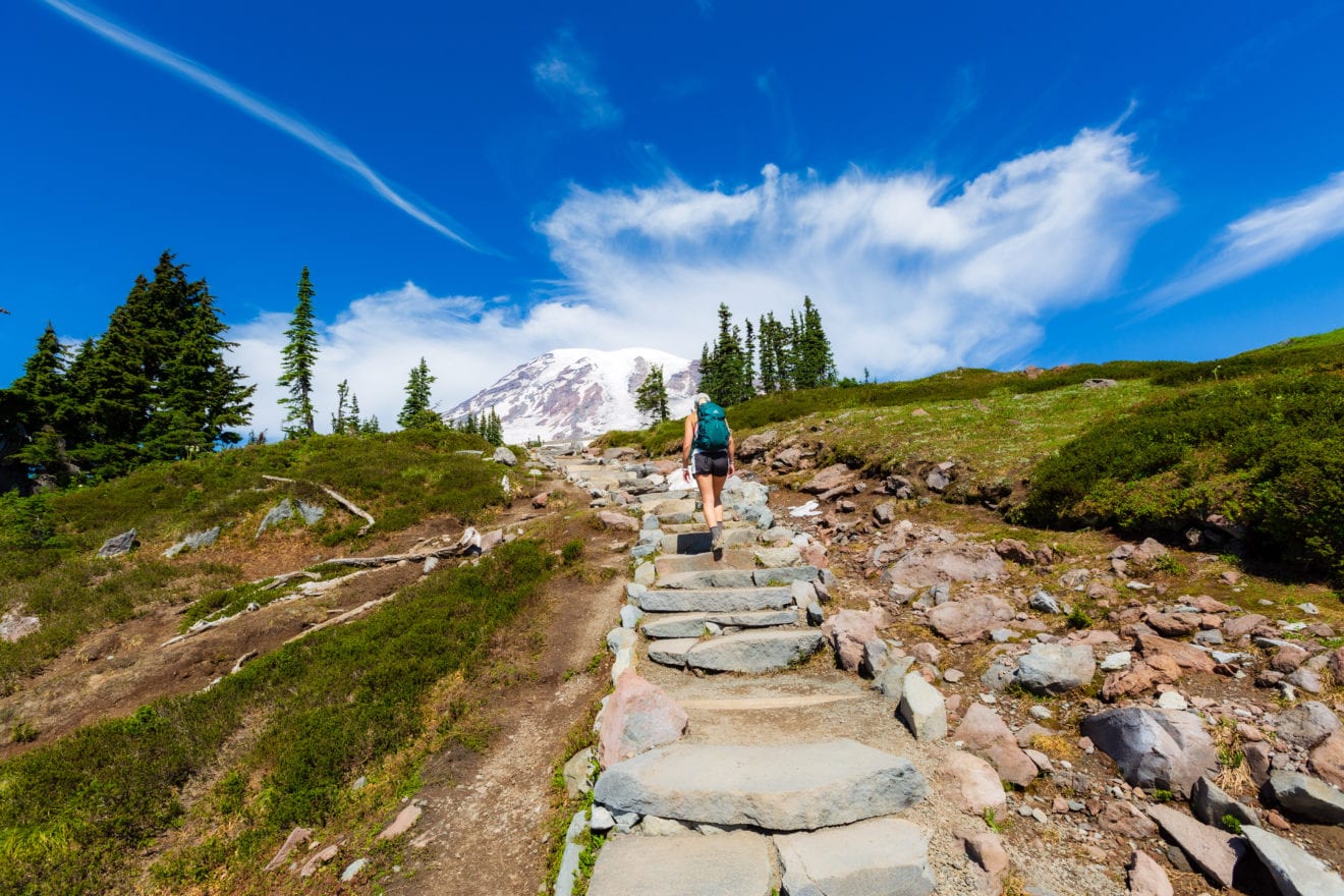 Remarkable wildflowers on the Skyline Loop Trail at Mt Rainier ...