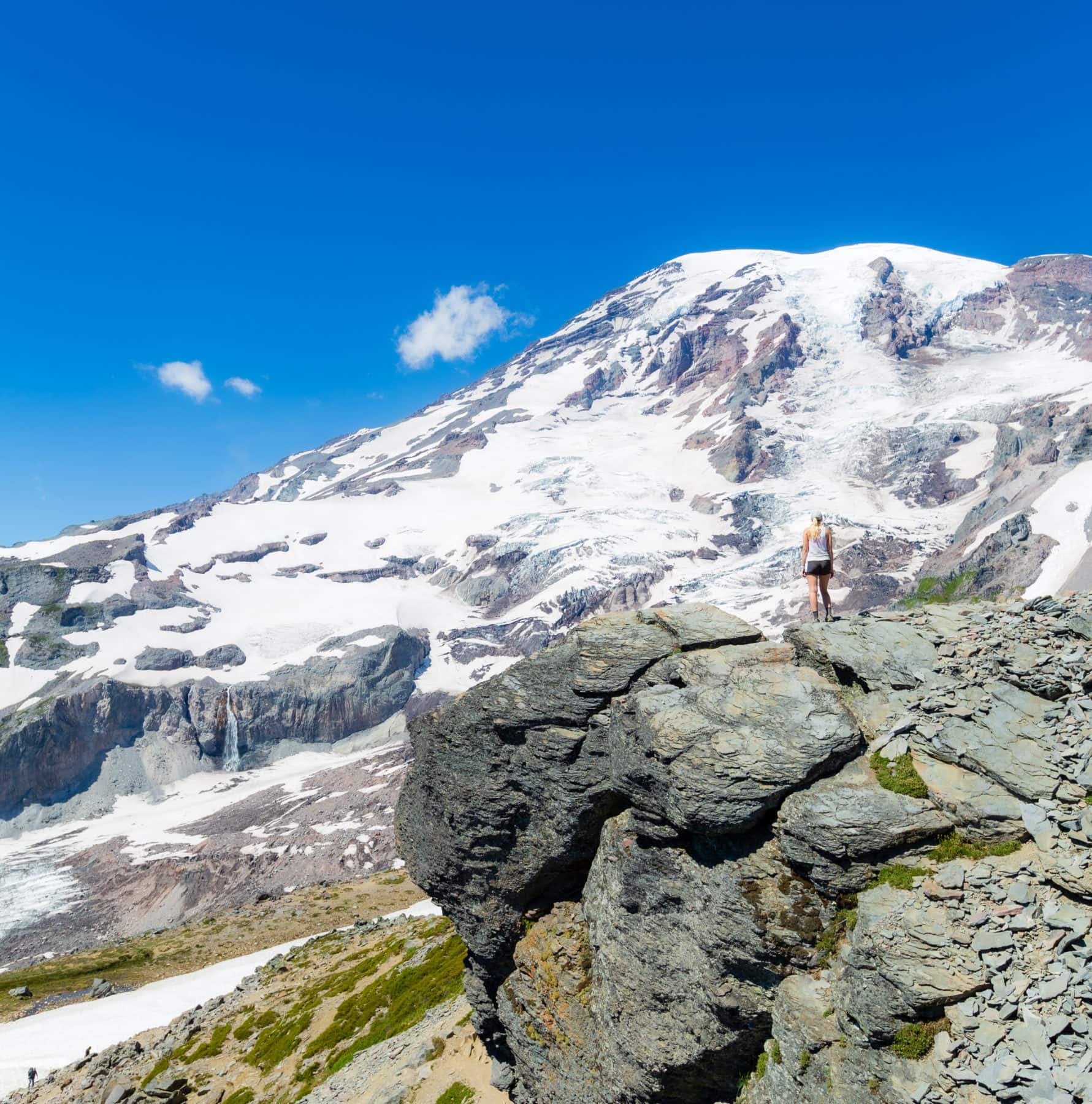 Remarkable wildflowers on the Skyline Loop Trail at Mt Rainier ...