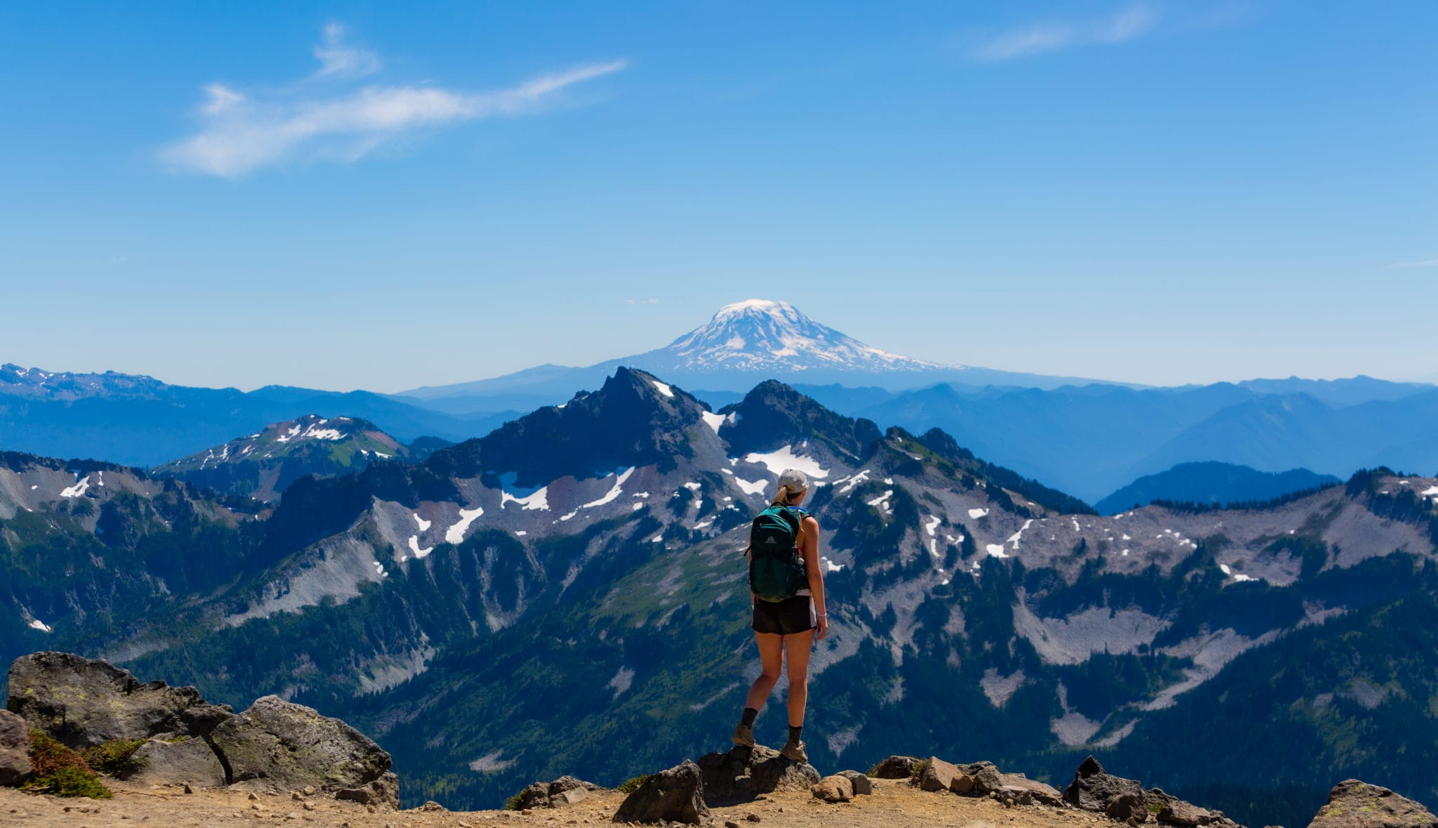 Remarkable wildflowers on the Skyline Loop Trail at Mt Rainier ...
