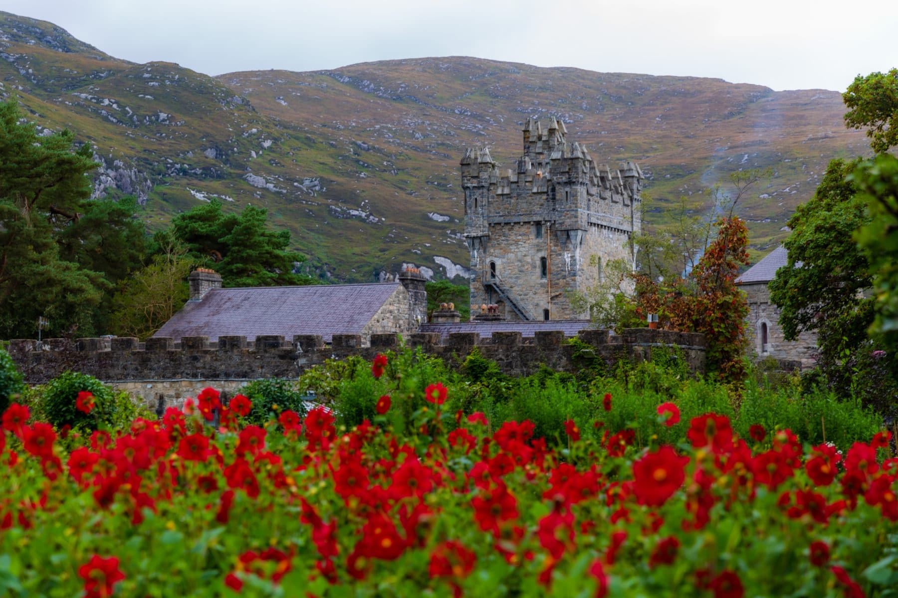5 authentic places to visit while hiking in Ireland - Explore with Alec