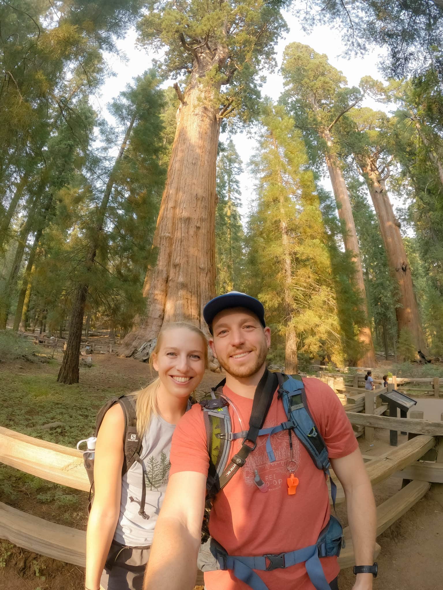 Ultimate Guide to the General Sherman Tree in Sequoia National Park