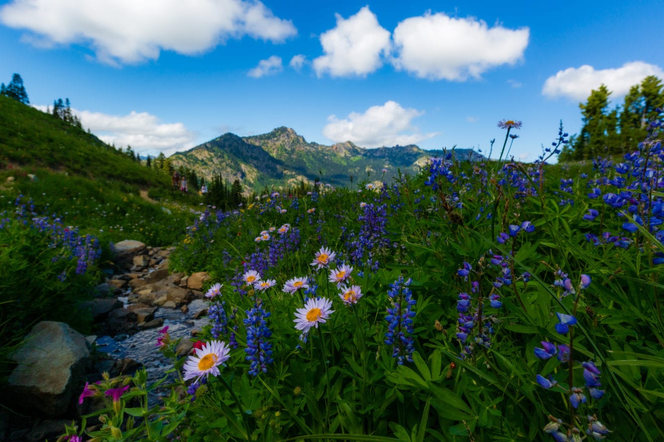 Ultimate Mount Rainier Itinerary: How to plan an awesome trip