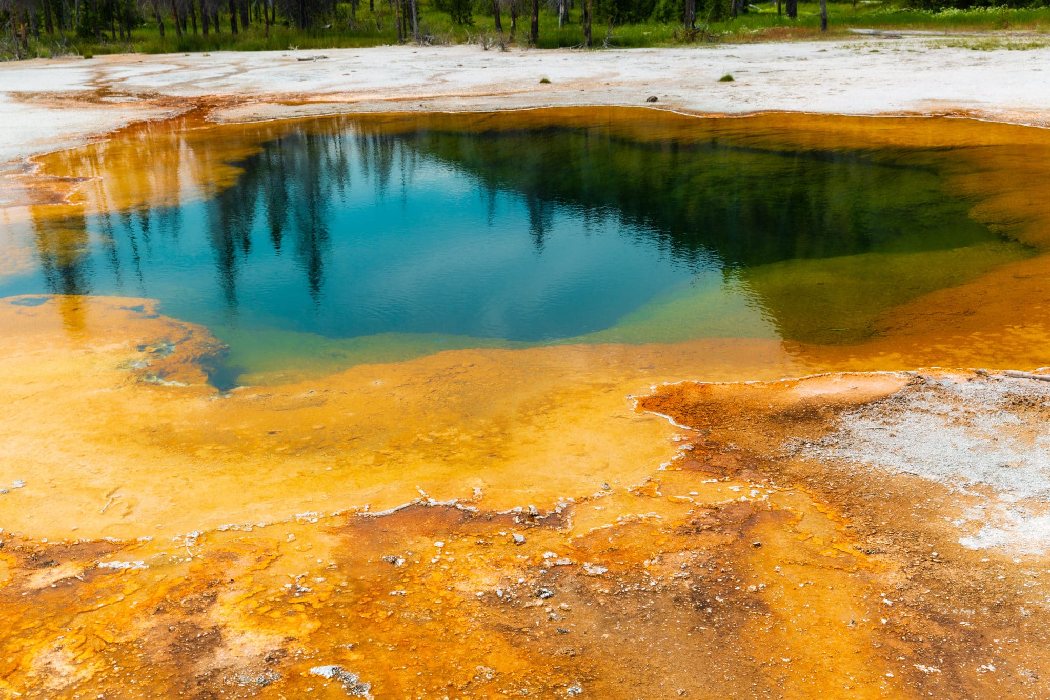 Ultimate Guide: 8-Day EPIC Glacier National Park to Yellowstone Road trip