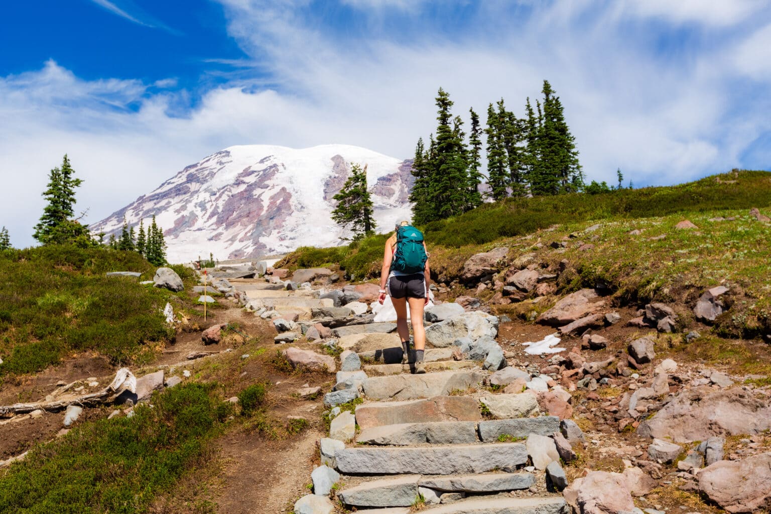 Is Mount Rainier Worth visiting? 5 reasons you'll be amazed here
