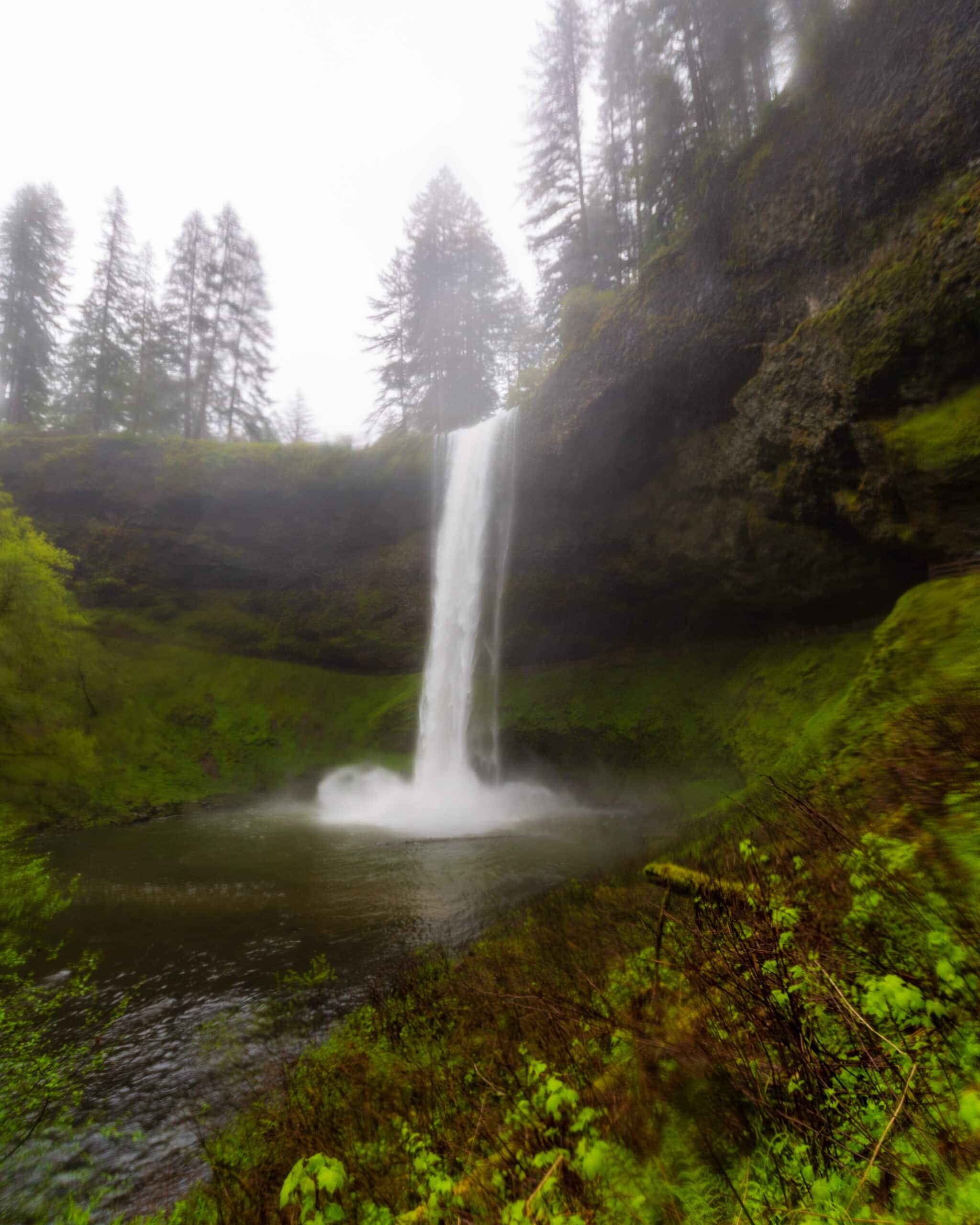 A Guide to Oregon's Trail of Ten Falls in Silver Falls State Park