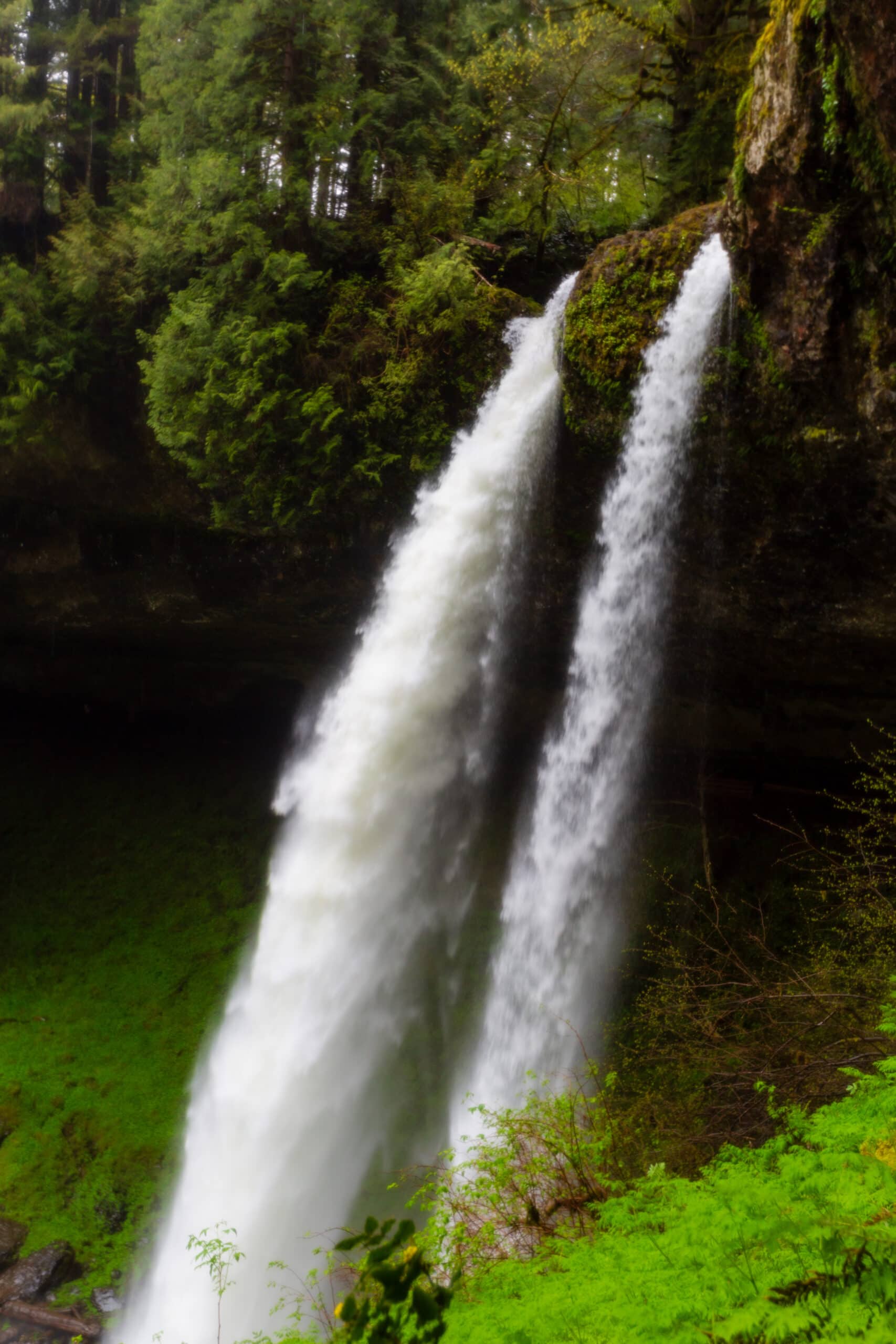 A Guide to Oregon's Trail of Ten Falls in Silver Falls State Park