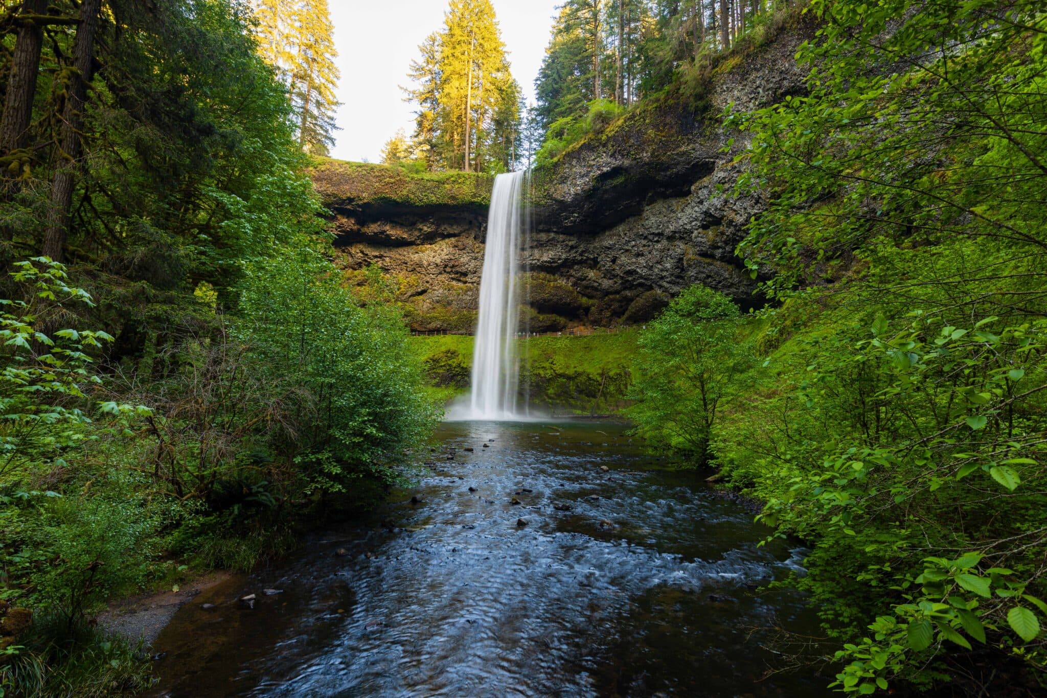 A Guide to Oregon's Trail of Ten Falls in Silver Falls State Park