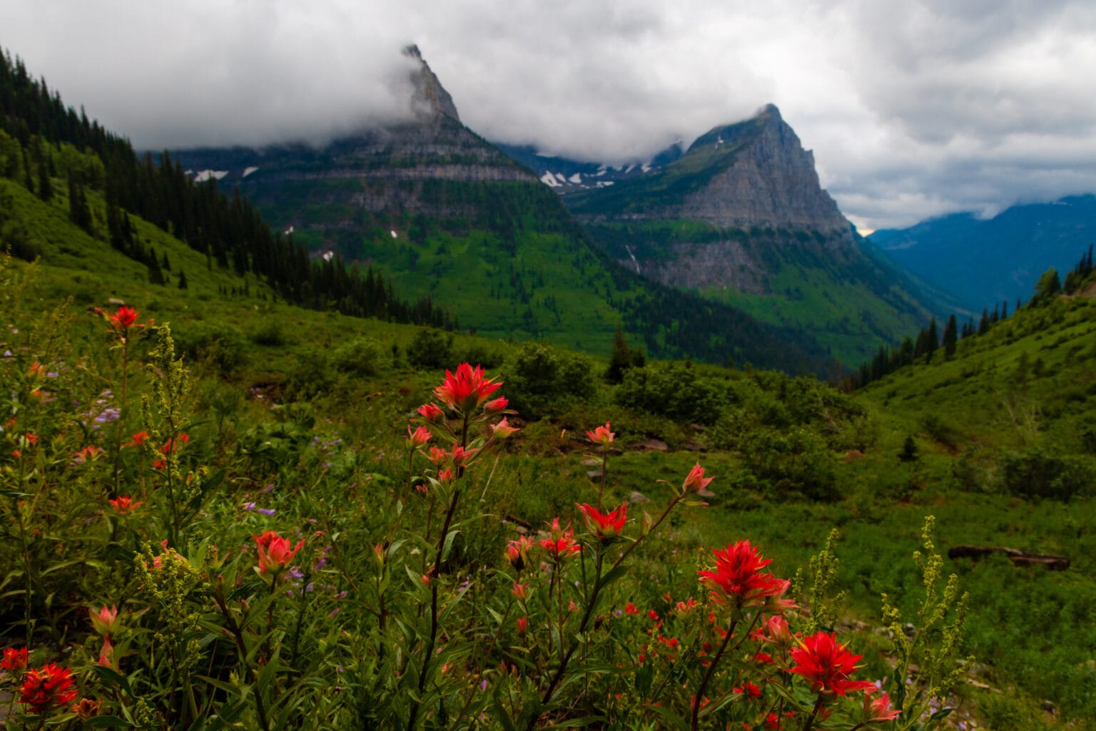 Unbeatable Views: Glacier National Park Photos - Explore with Alec