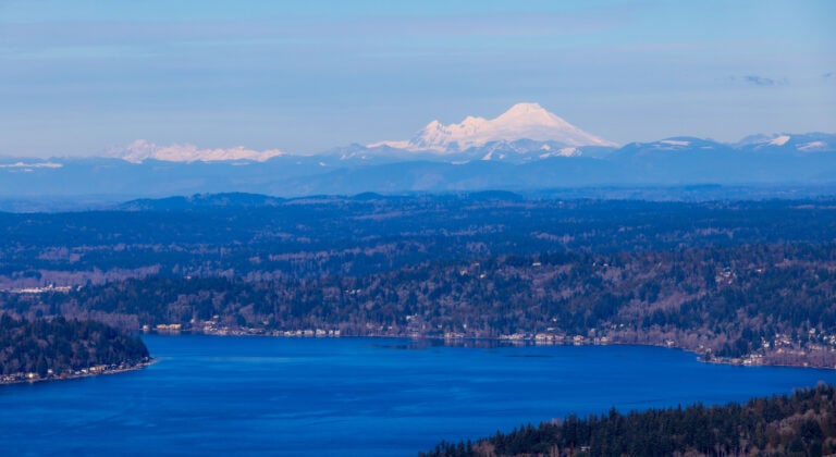 19 Beginner and Easy Hikes Near Seattle You'll Enjoy (From A Local)