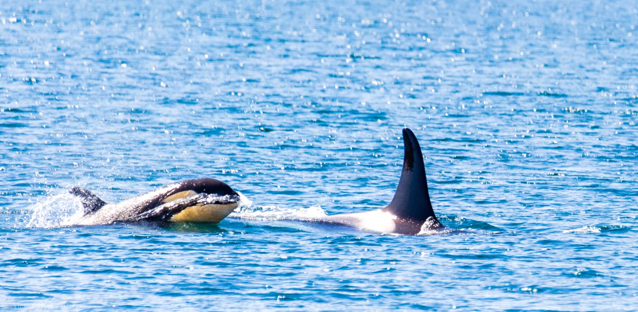 Photos of Alaska: 30 Breathtaking Pictures You Need to See