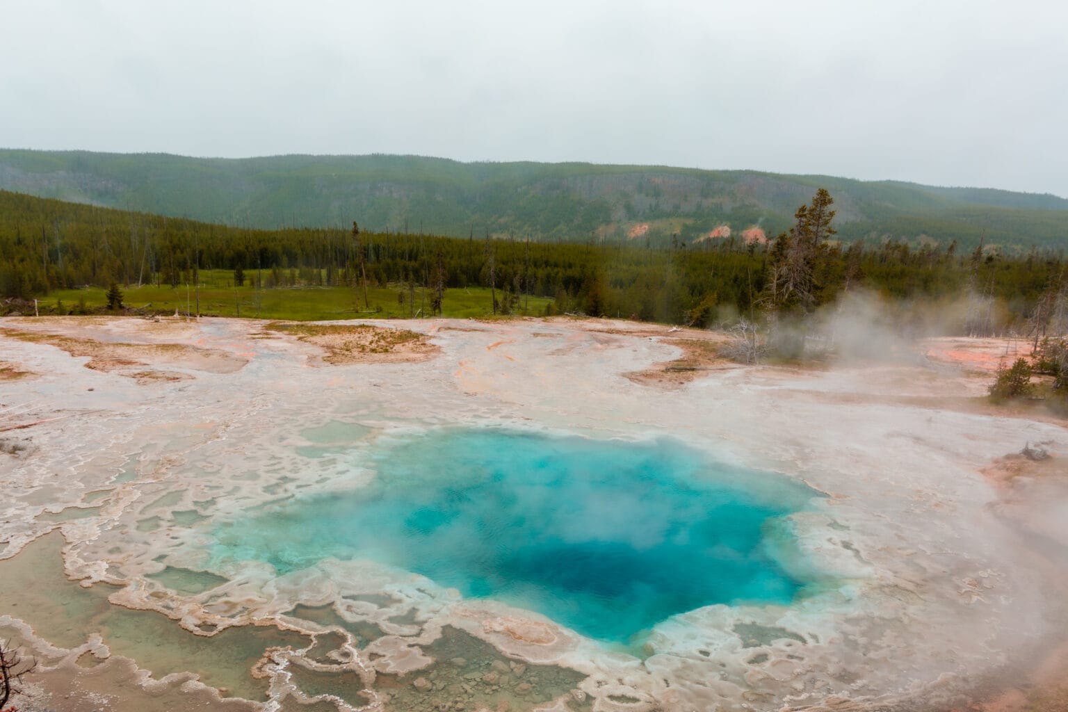Amazing Nature: 11 Wild Photos of Yellowstone National Park