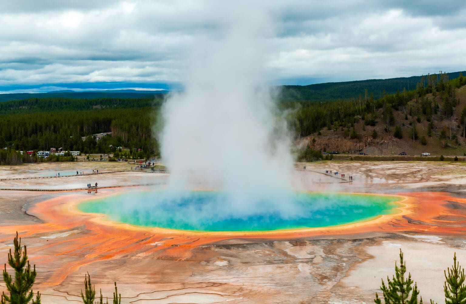 Amazing Nature: 11 Wild Photos of Yellowstone National Park