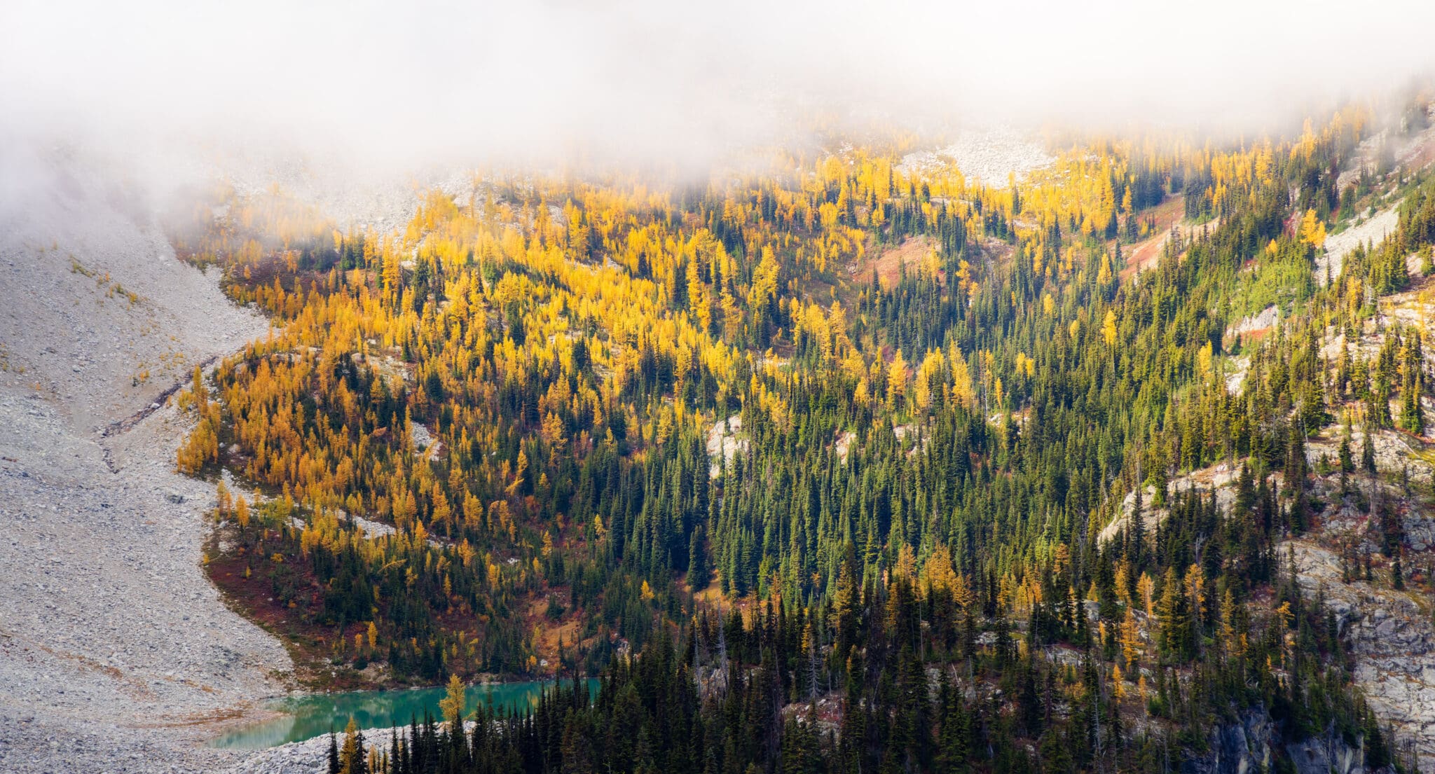 Ultimate Guide: Hiking and Backpacking Wing Lake in the North Cascades