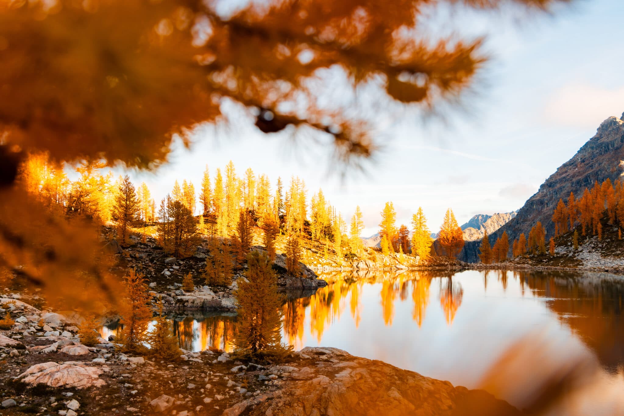 Ultimate Guide: Hiking and Backpacking Wing Lake in the North Cascades