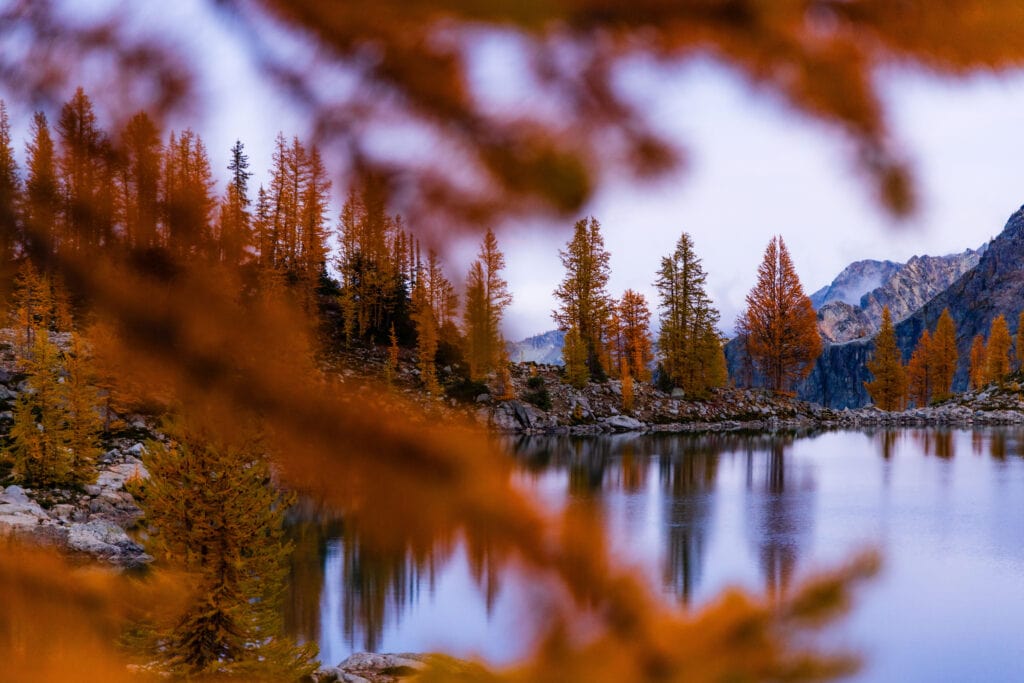 Ultimate Guide: Hiking and Backpacking Wing Lake in the North Cascades