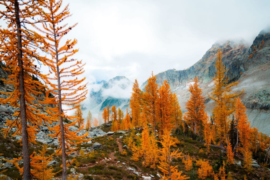 Ultimate Guide: Hiking and Backpacking Wing Lake in the North Cascades