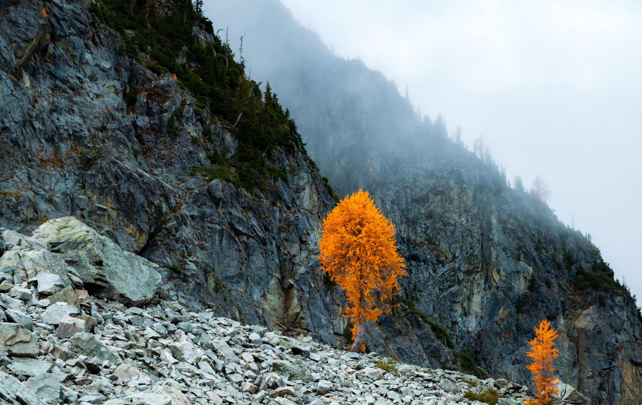Ultimate Guide: Hiking and Backpacking Wing Lake in the North Cascades