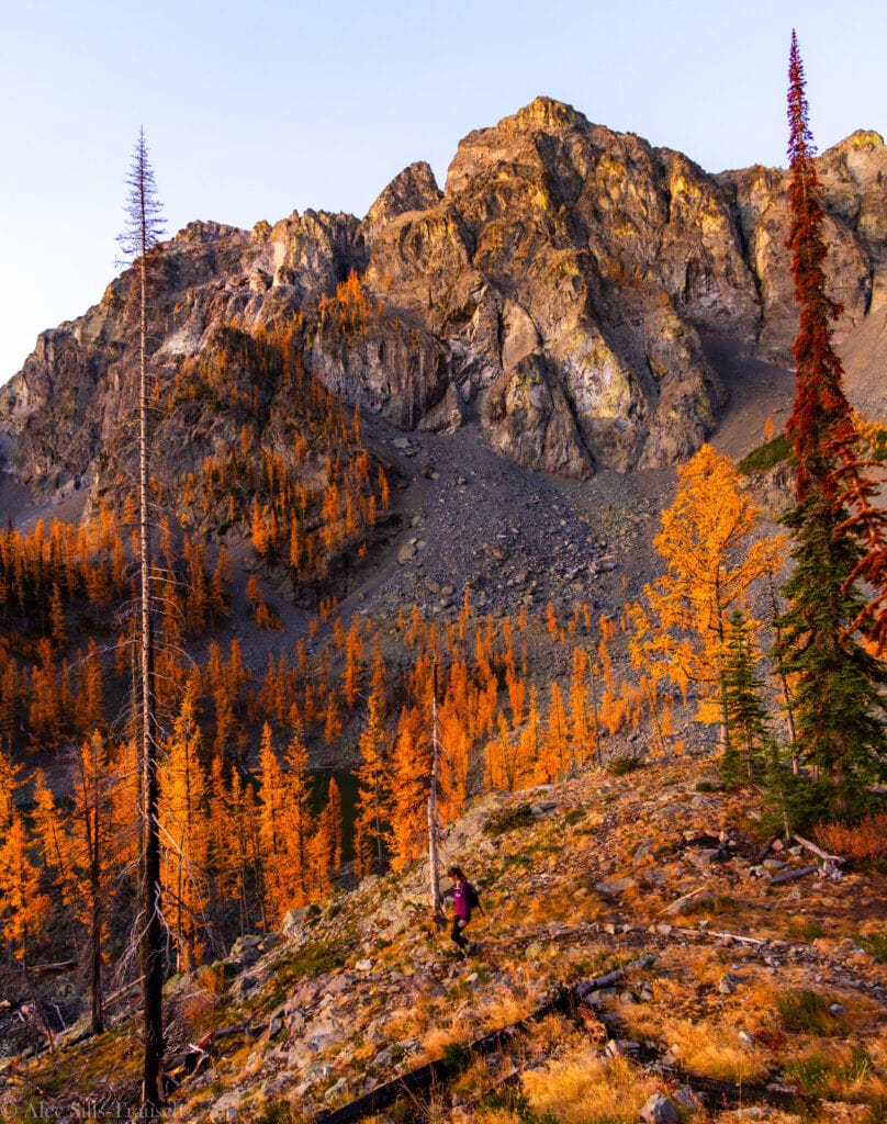 Larch Bonanza: Hiking To Copper Glance Lake In The Washington Cascades