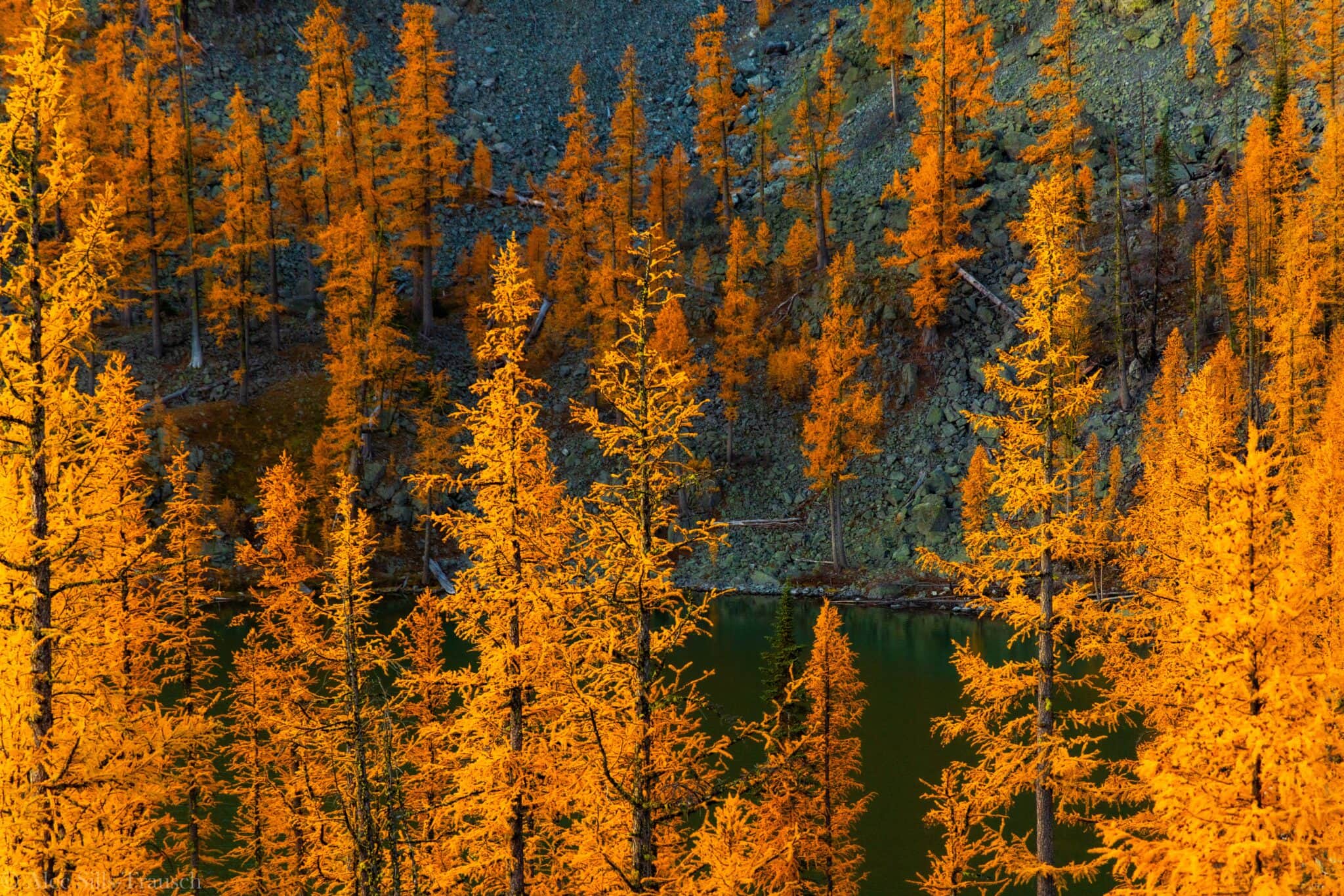Larch Bonanza: Hiking To Copper Glance Lake In The Washington Cascades