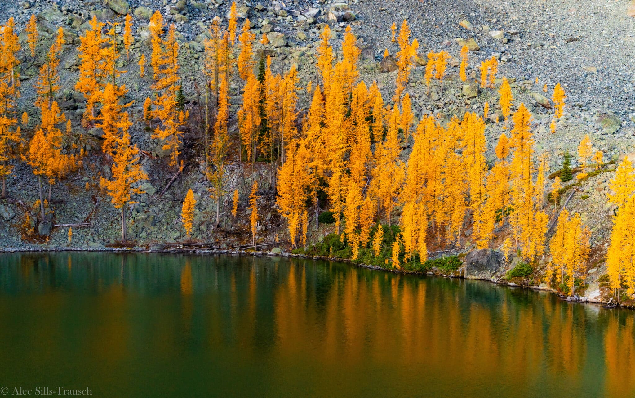 Larch Bonanza: Hiking To Copper Glance Lake In The Washington Cascades