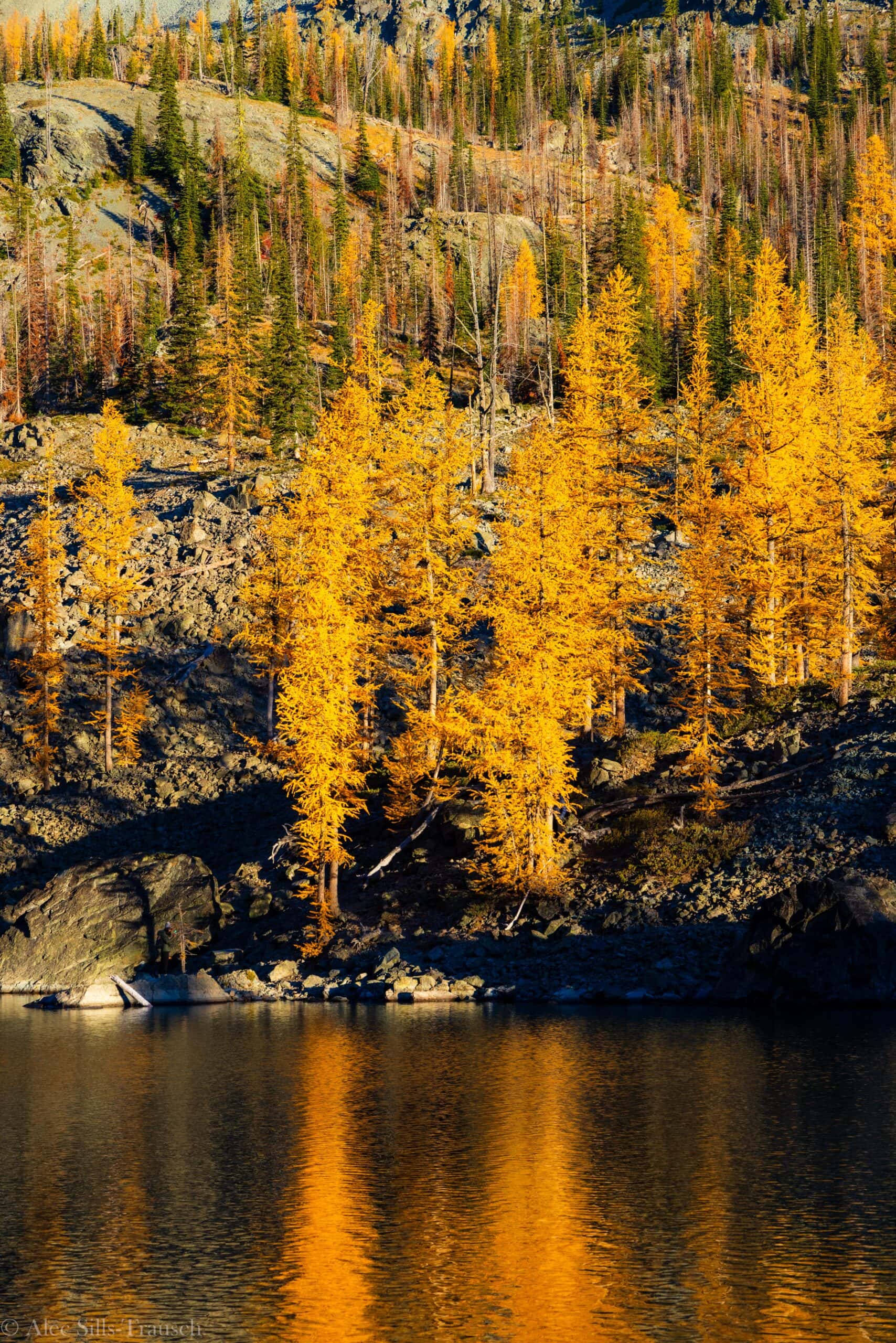 Larch Bonanza: Hiking To Copper Glance Lake In The Washington Cascades