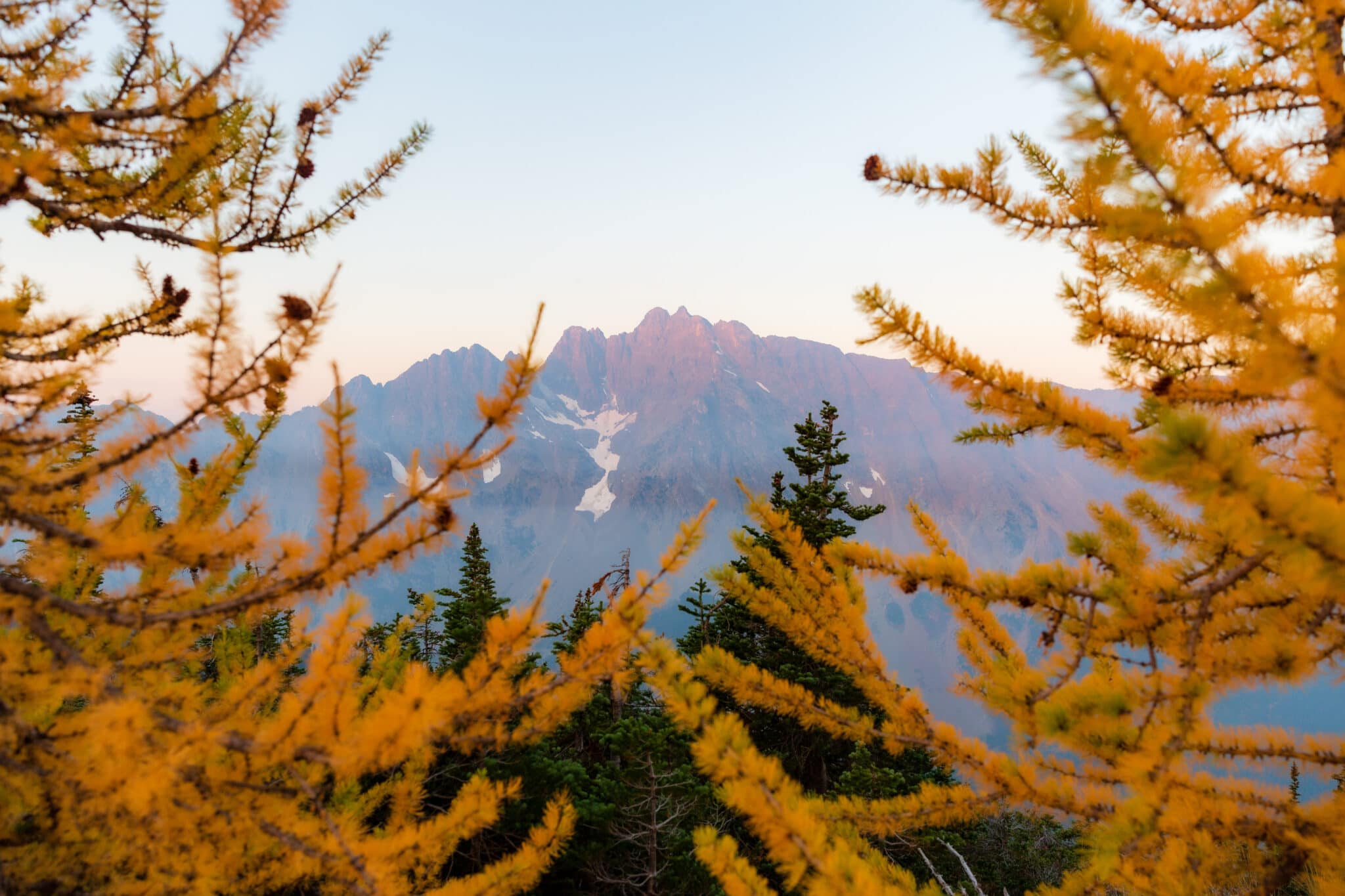 See Amazing Fall Colors Hiking to Grasshopper Pass via PCT