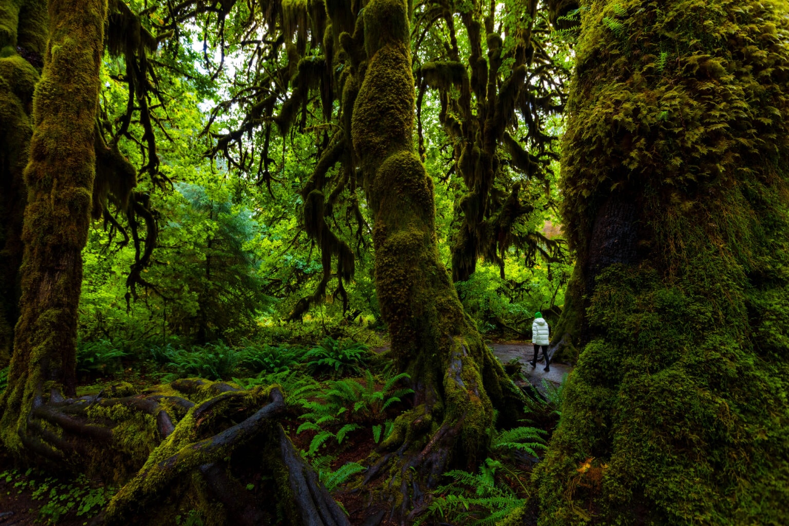 The Worst Time to Visit Seattle + Things to do while you’re here (From ...