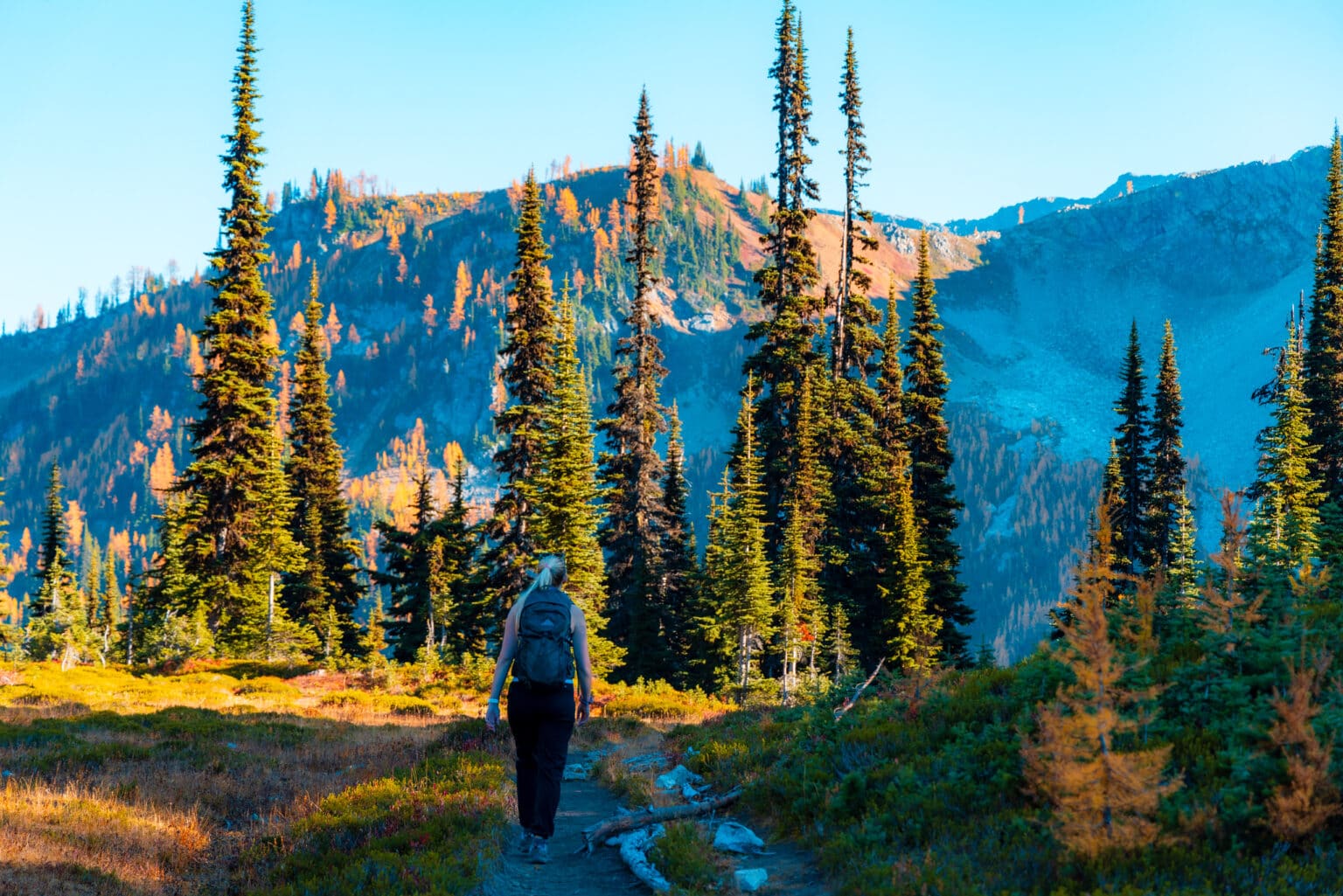 Maple Pass Loop: Guide to an epic North Cascades hike
