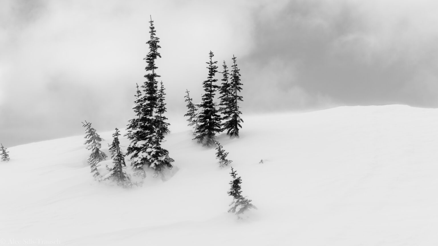 Expert Guide to Mount Rainier National Park in Winter
