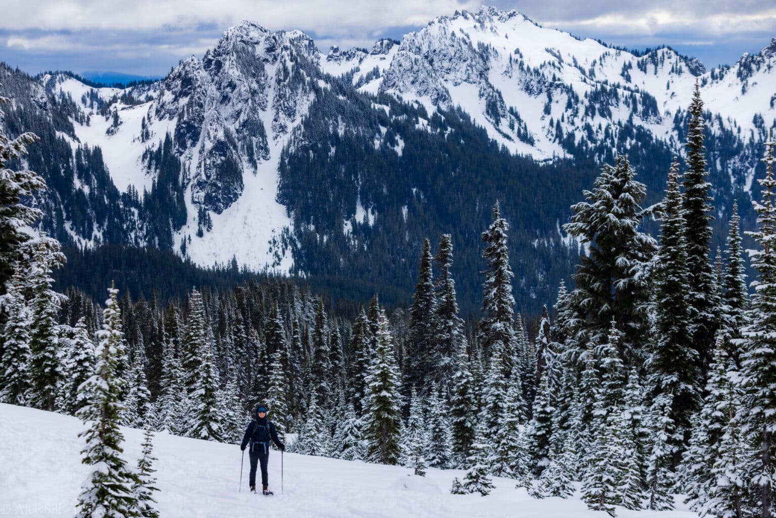 Expert Guide to Mount Rainier National Park in Winter