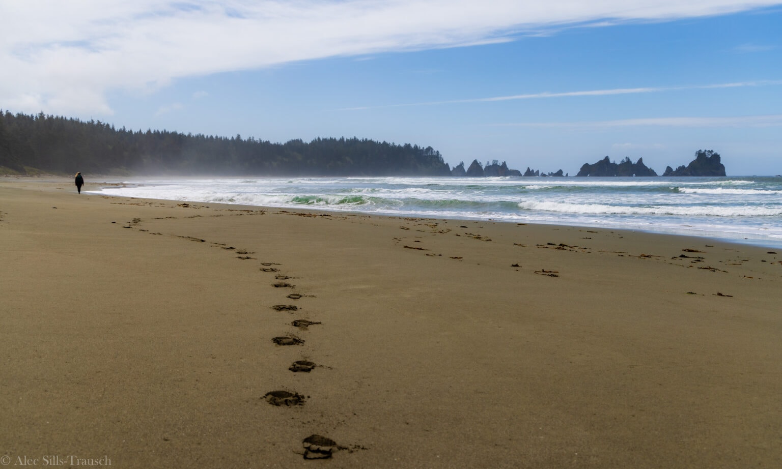Ultimate Guide to Camping and Hiking at Shi Shi Beach in Olympic