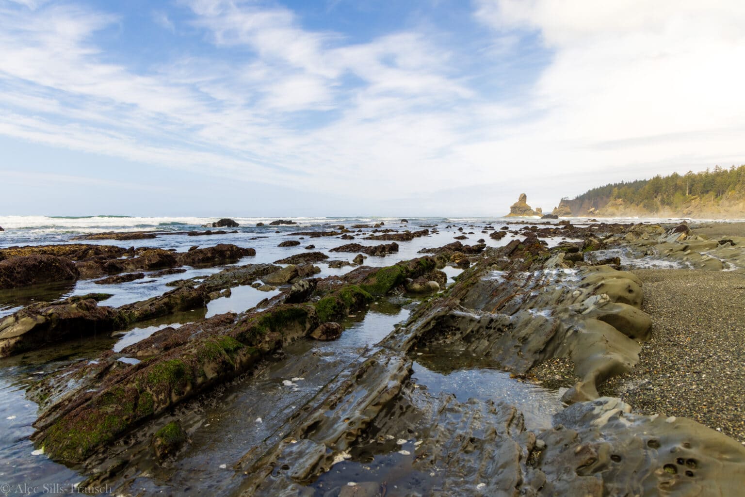 Ultimate Guide to Camping and Hiking at Shi Shi Beach in Olympic