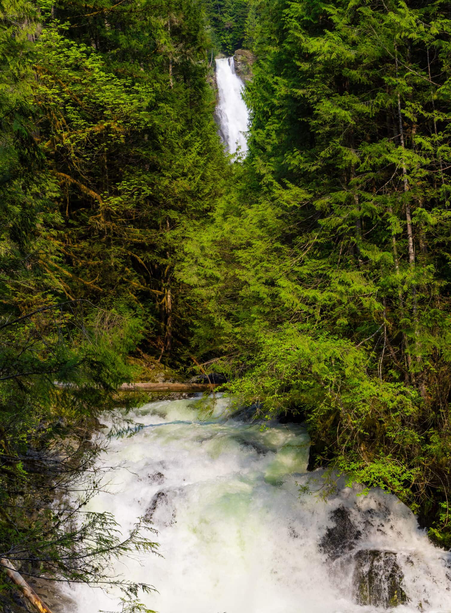 Wallace Falls Hike: The Best Waterfall Trail in Washington