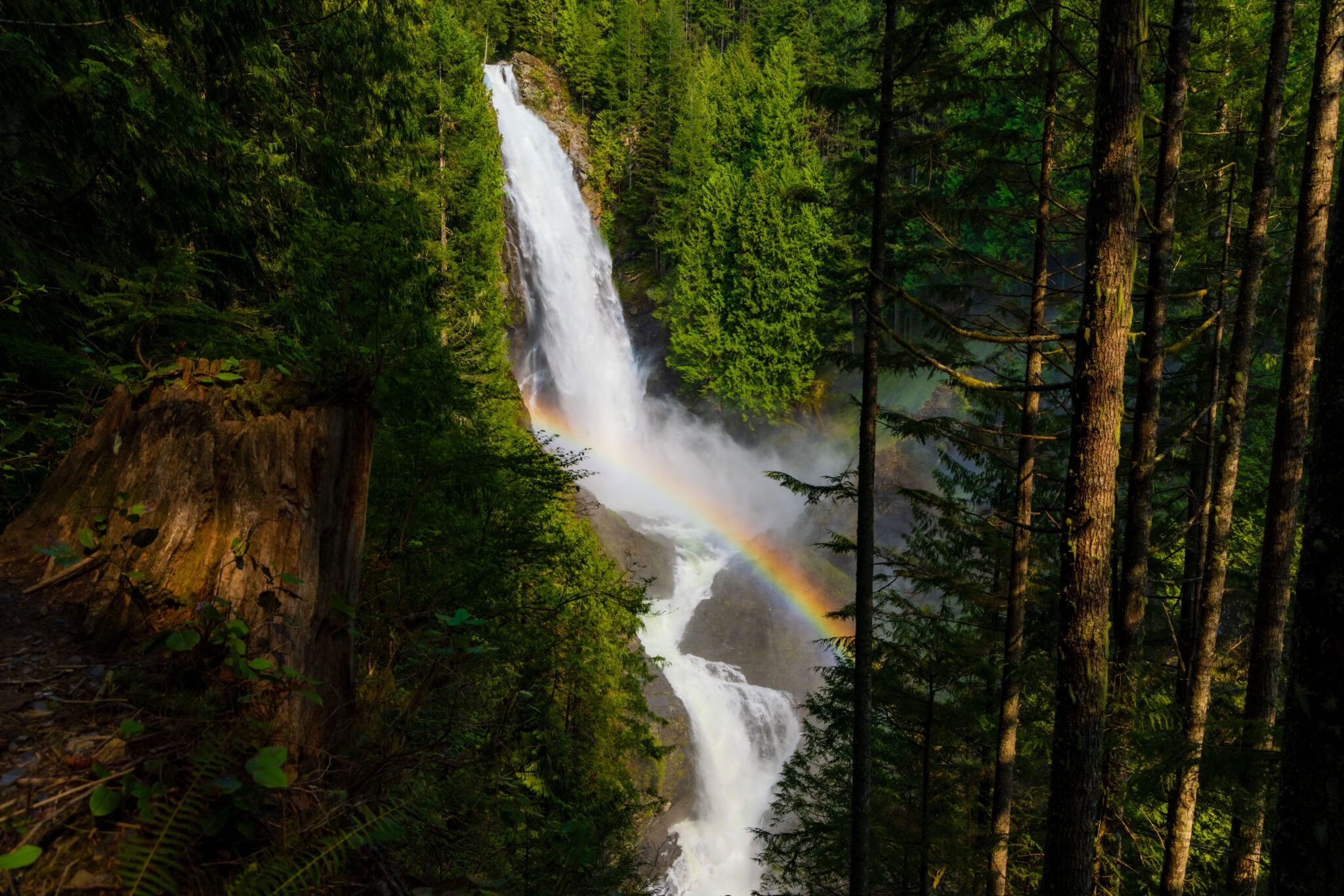 Wallace Falls Hike: The Best Waterfall Trail in Washington